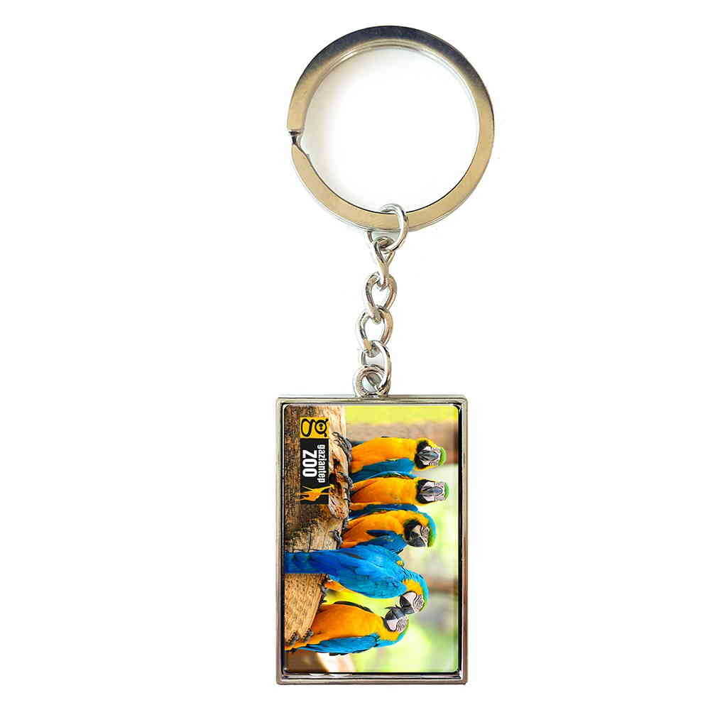 Buy Zoo Themed Metal Rectangle Keychain 30x100 mm - Myros